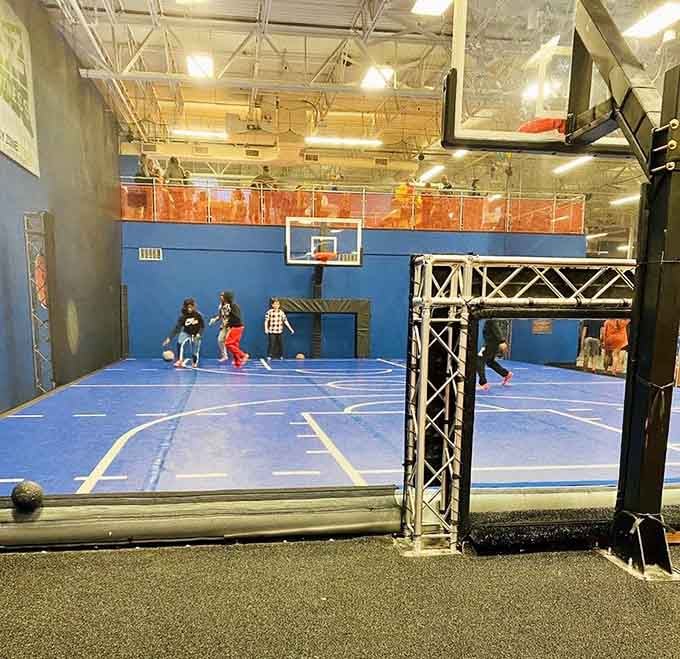Finally, a basketball court where your vertical leap dreams become reality, no matter your actual height.