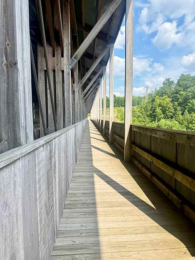 Sunlight dancing through the slats transforms an ordinary stroll into something almost magical.