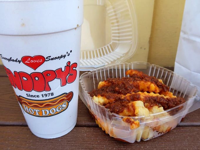 Chili cheese fries in a plastic container might not be fancy, but they're exactly what your taste buds ordered.