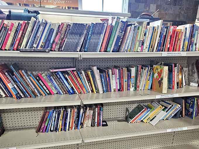 Book lovers rejoice: shelves packed with reads that won't require a library card or mortgage payment.