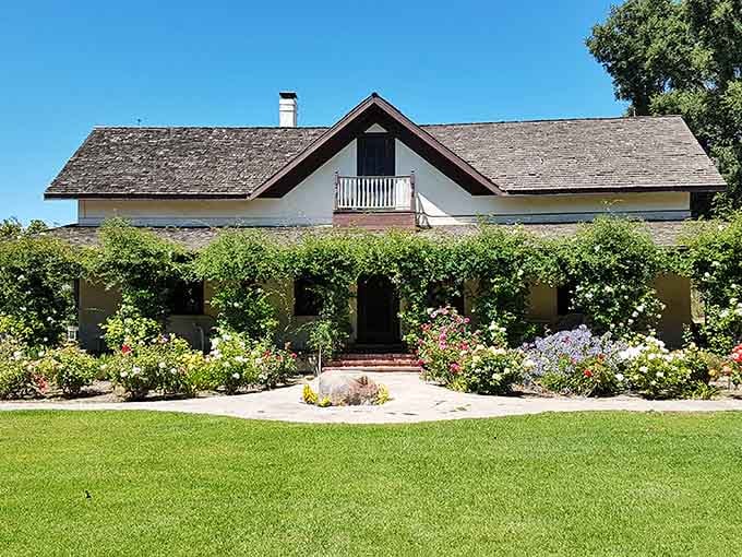 Rolling vineyards remind you that despite all the Nordic charm, you're still firmly planted in California's premier wine country.