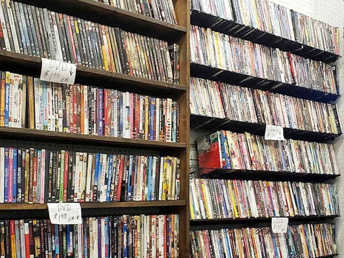 DVDs stacked floor to ceiling prove physical media isn't dead, it's just waiting for true collectors to appreciate.