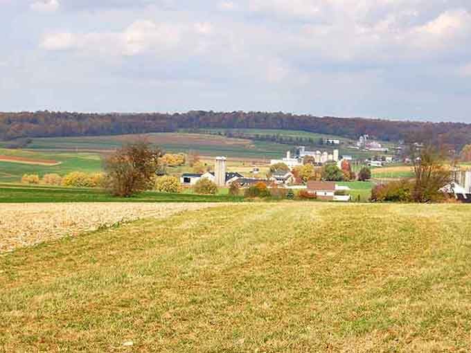 Farmland stretching to the horizon, where the biggest traffic jam involves a tractor and patience.