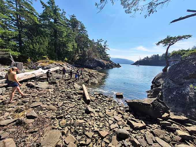 Rocky shorelines invite exploration at low tide, revealing tidal pools that are basically nature's own reality show.