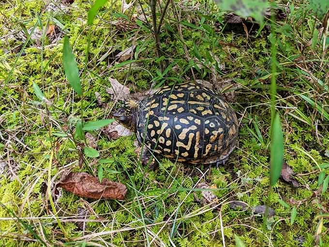 The Little-Known Kentucky State Park That Belongs On Your Bucket List