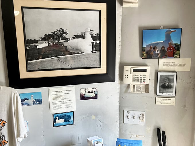 Historical photographs and memorabilia tell the story of how one duck became an icon of American roadside culture.