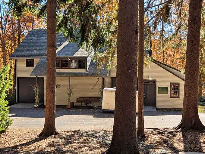 Sunlight streaming through the trees makes even abandoned buildings look like they're auditioning for a magazine cover.
