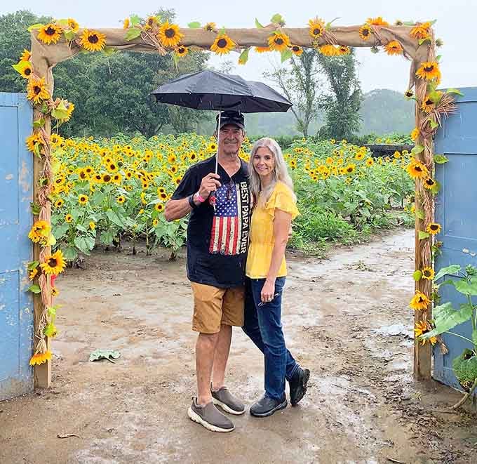 A rustic frame for capturing sunflower memories, strategically placed for those who need a little compositional help with their photos.