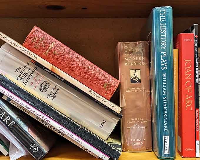 Vintage spines lined up like old friends waiting to share their stories with you.