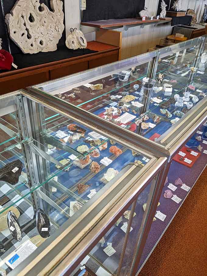 Display cases overflow with specimens that make you wonder how one shop accumulated this much geological treasure.