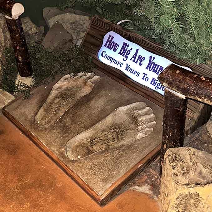 Compare your feet to Bigfoot's and suddenly your shoe size doesn't seem quite so impressive anymore, does it?