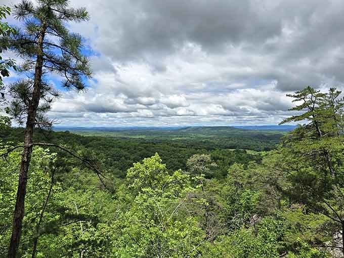 Miles of North Carolina wilderness stretch before you, proving the best views don't require airplane tickets.
