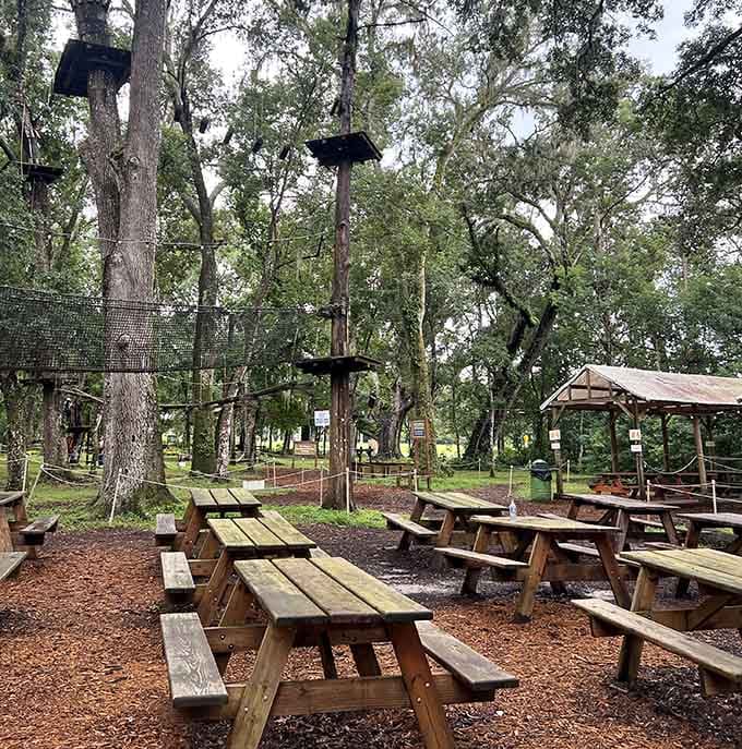 Picnic tables rest beneath towering platforms where post-adventure stories get shared and sore muscles earn their well-deserved bragging rights.