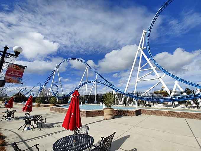 Those red umbrellas offer shade for when you need a break from pretending you're still twenty-five and invincible on rides.