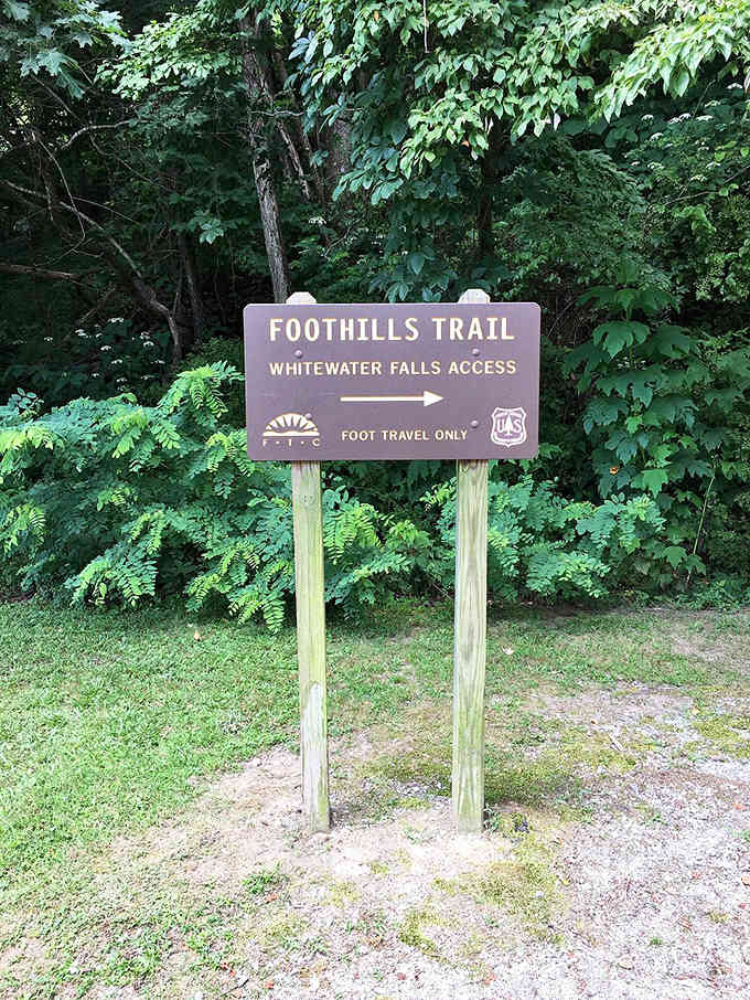 The Foothills Trail connects to this scenic wonder, offering extended hiking for those seeking more mountain adventure.