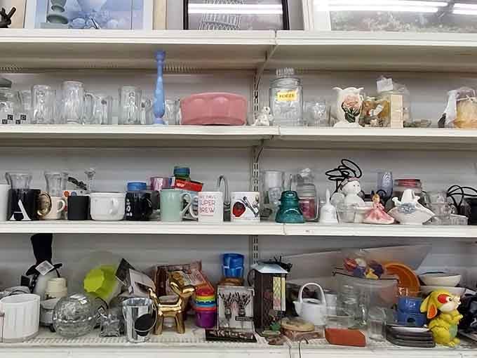 Glassware and mugs galore, each piece with its own mysterious past and zero attachment to retail markup.