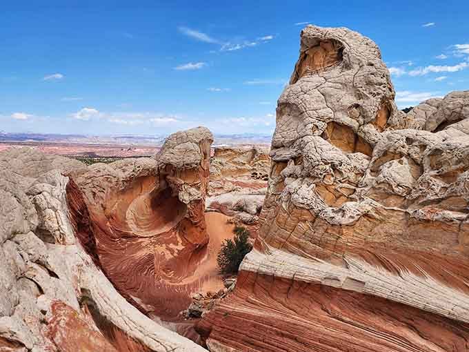 Those flowing bands of color look like wood grain designed by an artist on another planet.