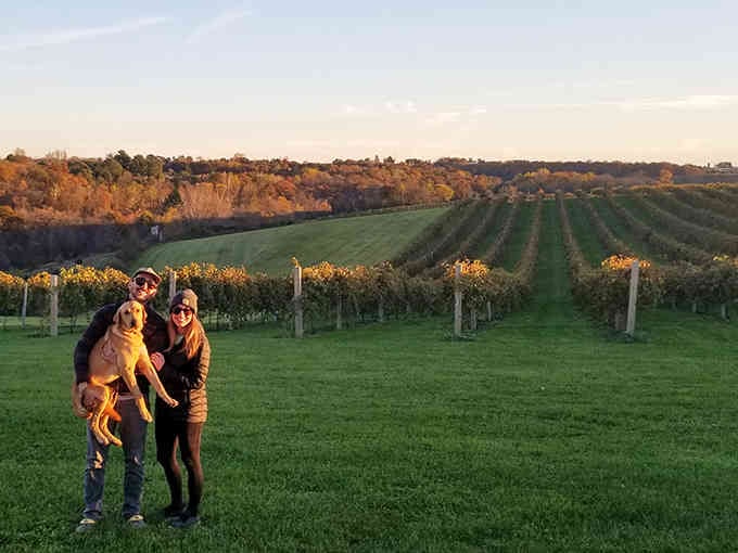 Vernon Vineyards at sunset proves the Driftless Area grows more than just corn and contentment these days.