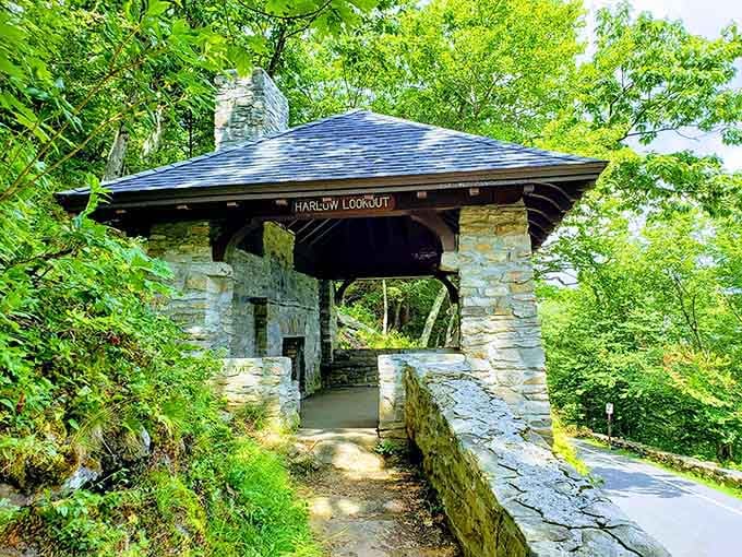 Harlow Lookout stands as your stone-pillared gateway to panoramic views that make the uphill slog completely worthwhile.