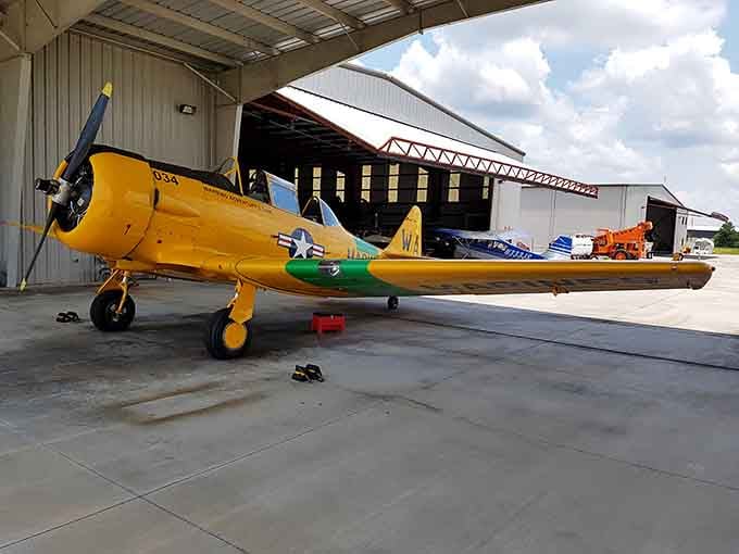 That radial engine and propeller combo produces a sound that makes rock concerts seem like gentle whispers.