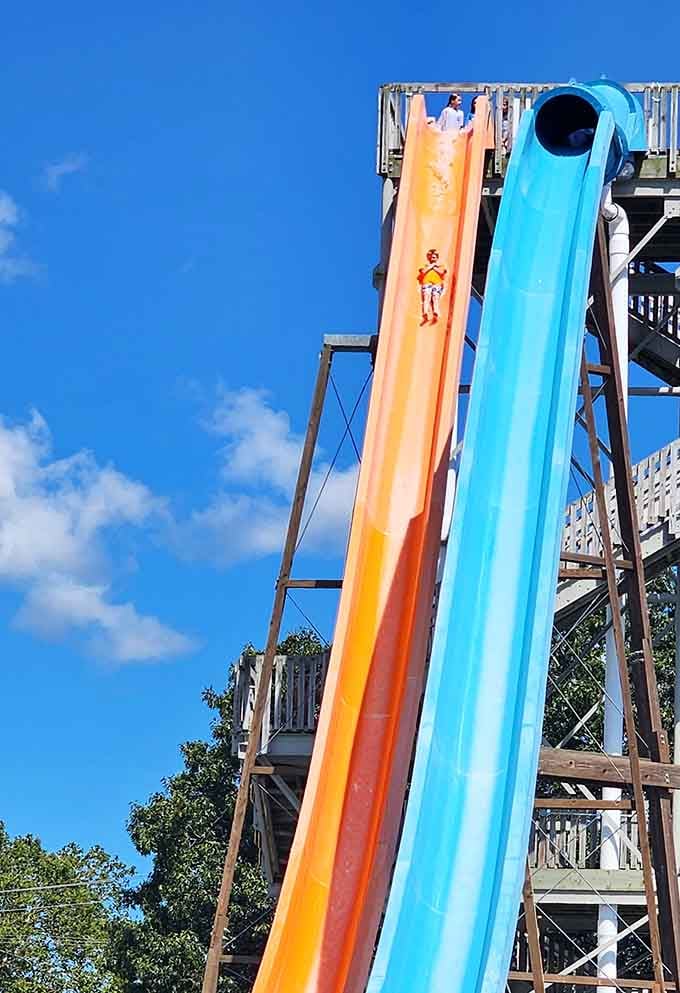 Standing at the top of these slides requires either bravery or temporary insanity, possibly both at once.
