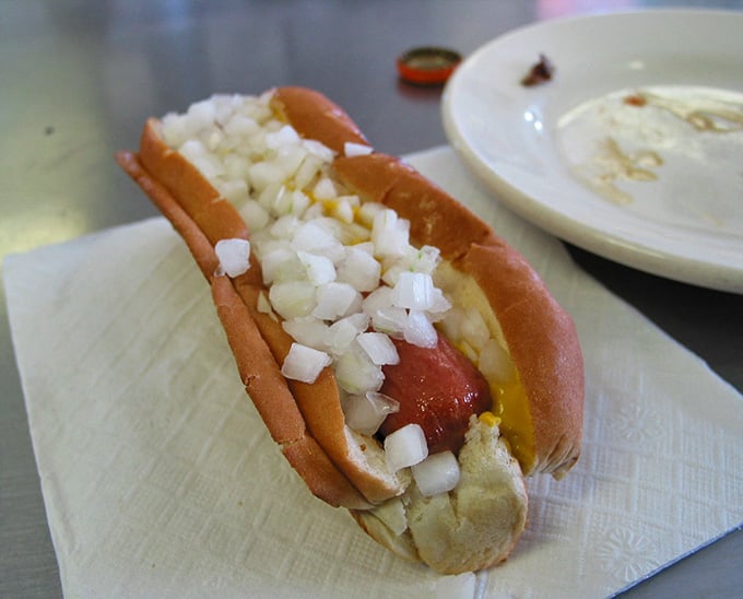 A proper hot dog with mustard and onions, served the way diners have done it right for generations.