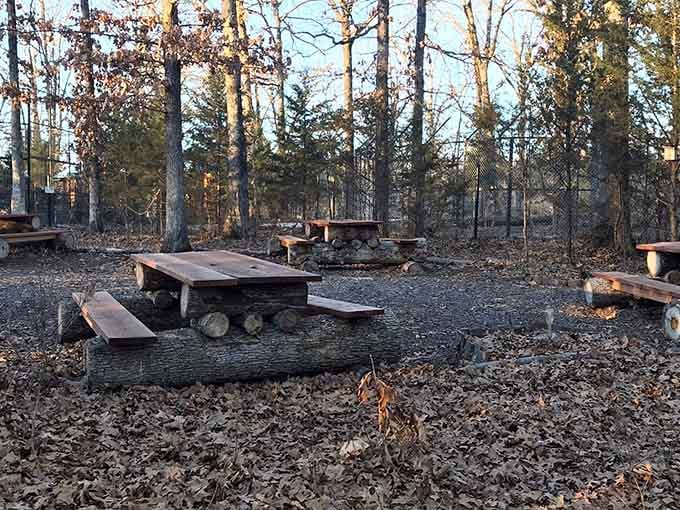 Rustic picnic spots scattered throughout the grounds invite you to relax and soak in the natural surroundings.