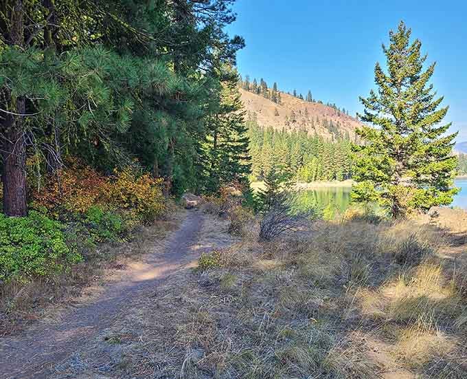 Another trailhead, another adventure waiting to unfold in the Methow Valley's endless outdoor playground.