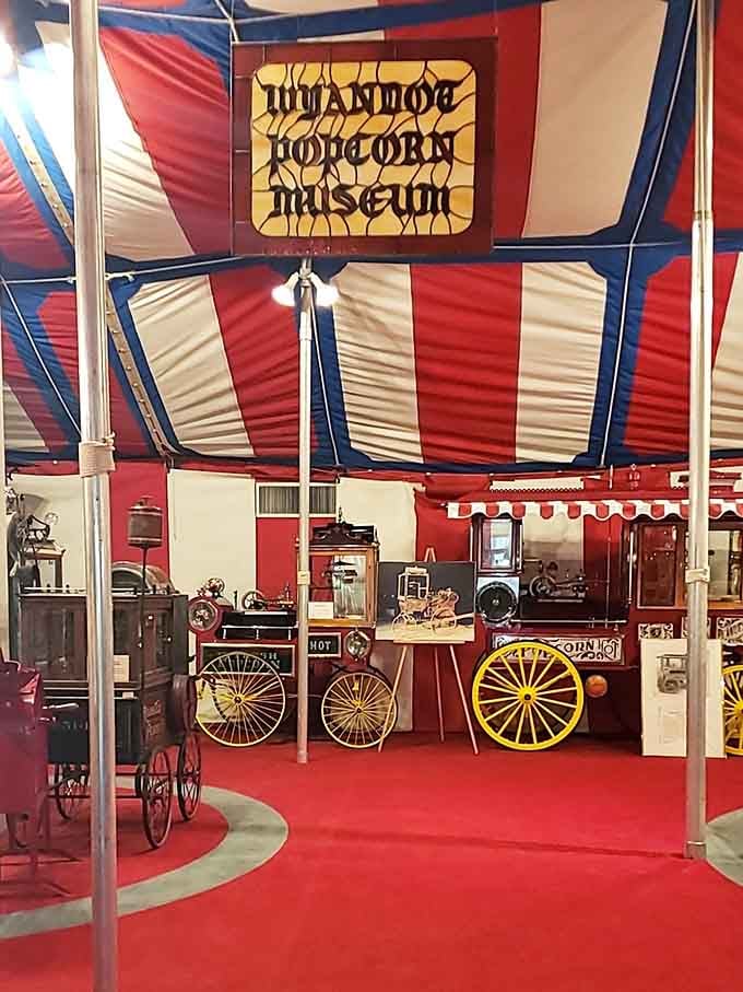 The museum's grand entrance promises a journey through popcorn's greatest hits, and boy, does it deliver spectacularly.