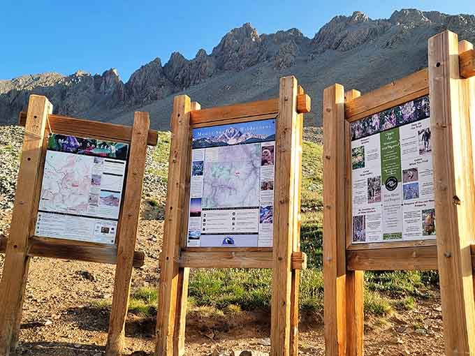 Information kiosks share trail maps and wildflower guides, helping visitors identify nature's colorful cast of characters.