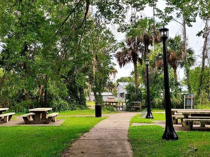Picnic tables under the palms prove that the best dining room doesn't need walls or reservations.