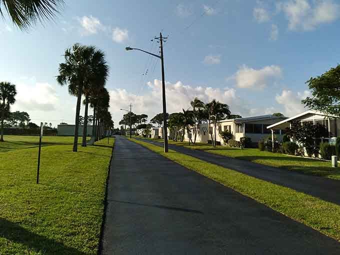 Palm trees line peaceful streets where morning walks feel like vacation every single day of the year.
