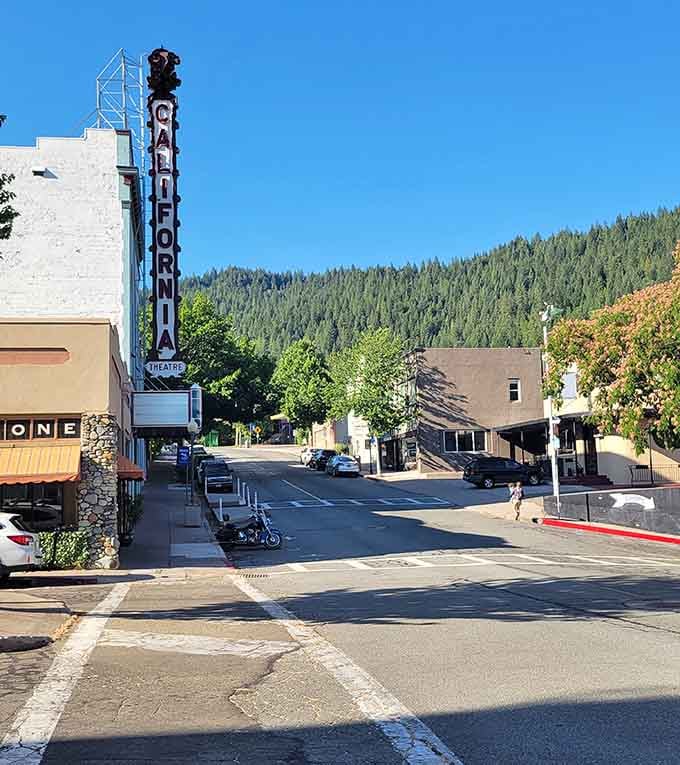 That vintage California Theatre sign points skyward like a beacon for anyone seeking entertainment beyond their smartphone screen.