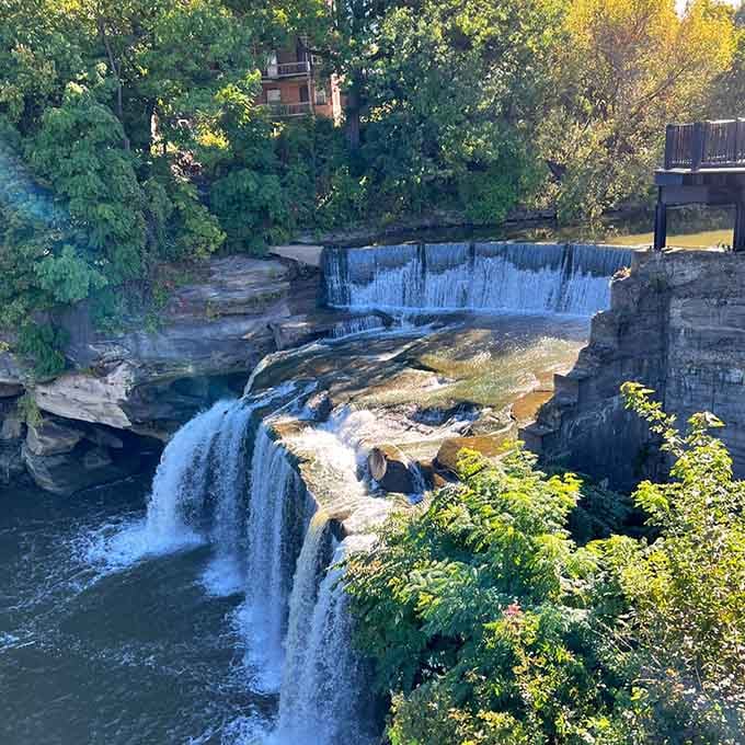 Multiple streams find their own paths over layered rock, creating a complex dance of water and stone.