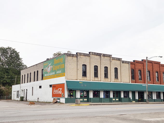 Vintage Coca-Cola signs and corner storefronts evoke memories of soda fountains and simpler Saturday afternoons.