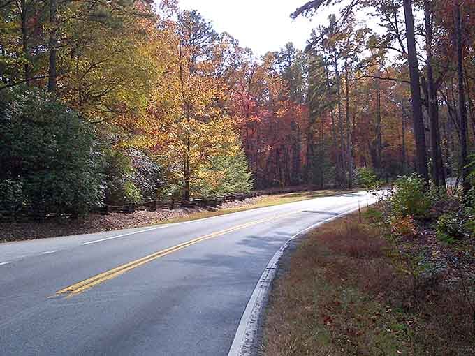 Fall foliage frames the gentle curves ahead, where every turn reveals another reason to pull over and grab your camera.
