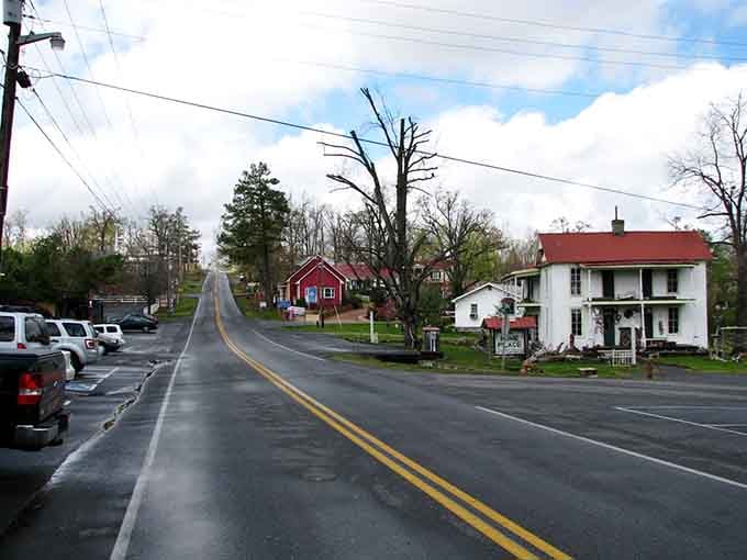Rain-slicked streets reflect a quiet charm that makes you want to slow down and actually notice things.