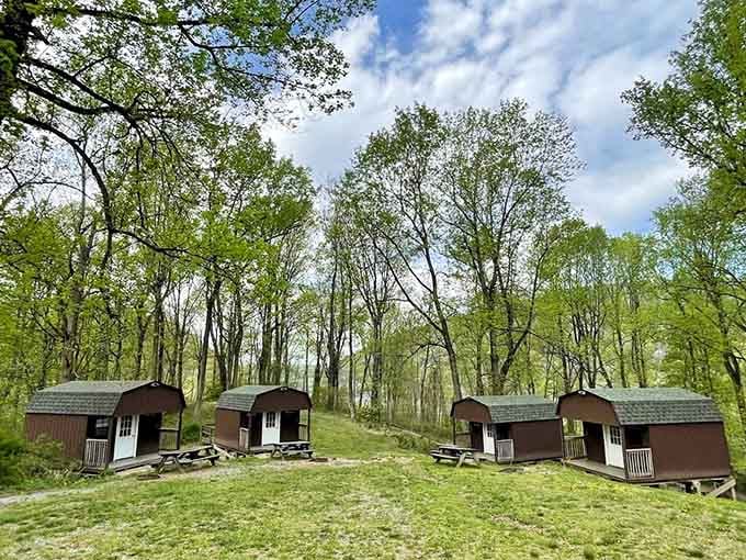 Cozy cabins nestle into the hillside forest, offering peaceful retreats where nature provides the entertainment nightly.
