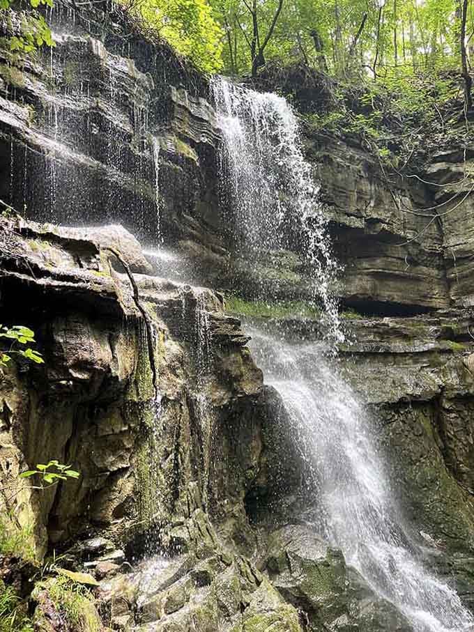 Water cascades down layered rock like nature's own fountain, creating a symphony that echoes through the surrounding forest wonderfully.