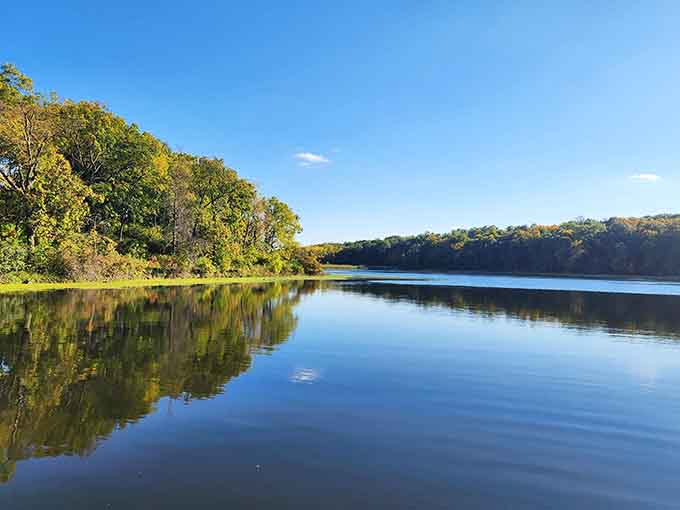 Morning light gilds the shoreline in autumn colors while the lake mirrors every tree like nature's own perfect photograph.