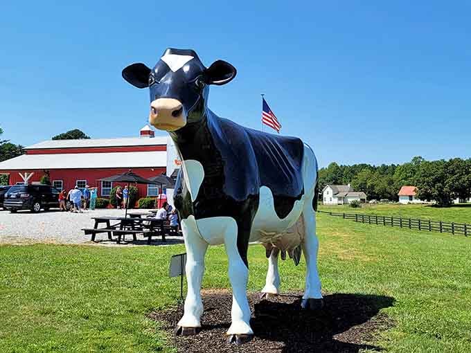 That giant Holstein statue stands proudly, greeting visitors like a bovine Statue of Liberty welcoming ice cream pilgrims.