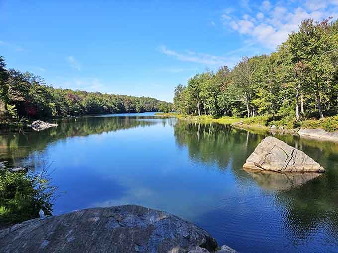 Mirror-smooth water reflects the surrounding forest, creating a peaceful scene that calms your soul instantly.