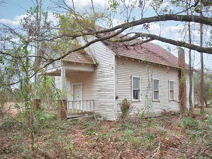 Nature's reclaiming what time forgot, but that porch still whispers stories of Sunday suppers past.