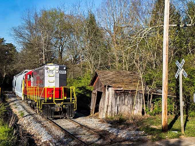 This weathered crossing and old shed whisper stories of countless trains that have passed through these quiet woods.