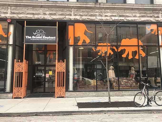 Orange elephant silhouettes dance across the windows like a parade celebrating the joy of secondhand shopping done right.