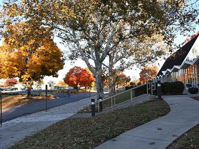 Autumn leaves frame charming sidewalks where every stroll feels like a perfect afternoon escape.