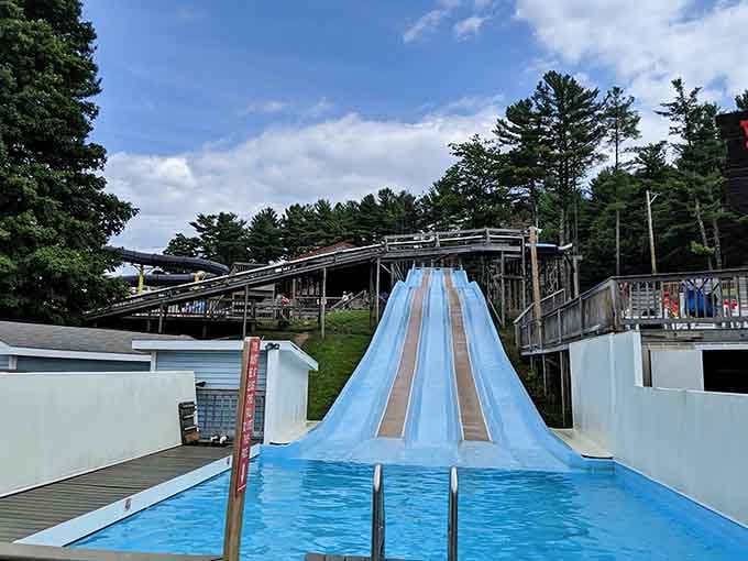 That double water slide promises the kind of summer thrills that make you forget you're a responsible adult with a mortgage.