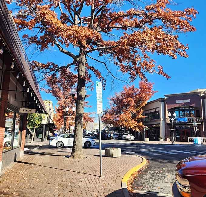 Autumn leaves paint the sidewalks copper and gold, while the peaceful streets invite leisurely walks any hour.