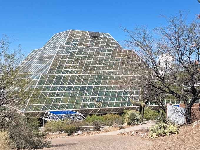 The transparent geometric structure catches sunlight through thousands of panels, creating a greenhouse that dreams are made of.