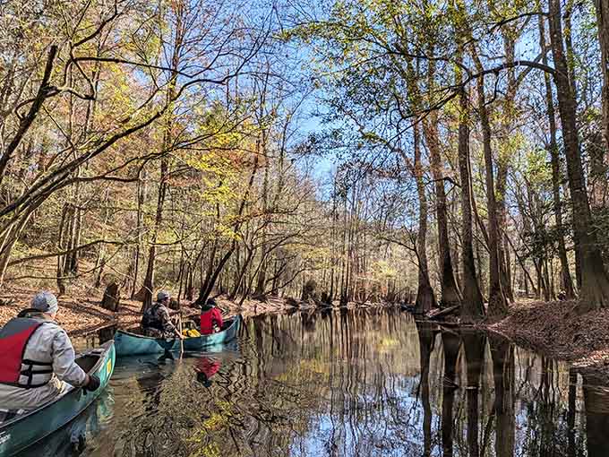 Canoes glide through mirror-still water reflecting bare trees, creating a scene that's twice as beautiful as reality.